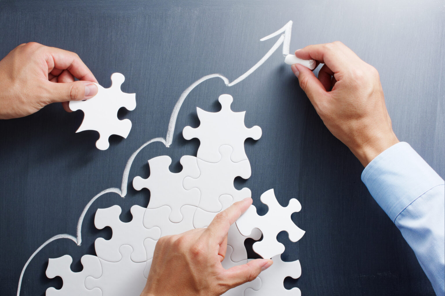 Business Transformation - W. Capra